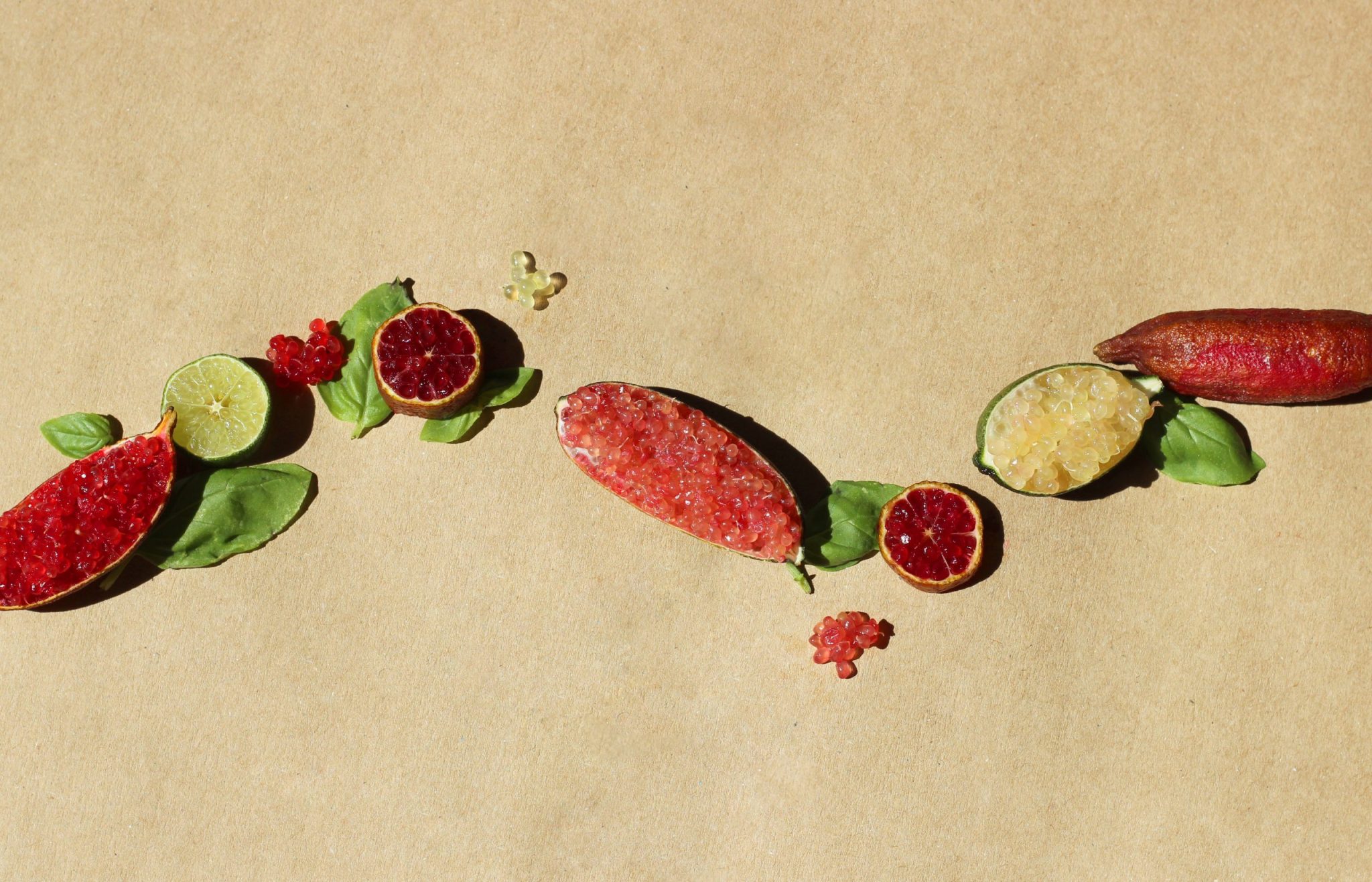 Transgourmet annonce un partenariat avec Fruits at Home - Industrie ...